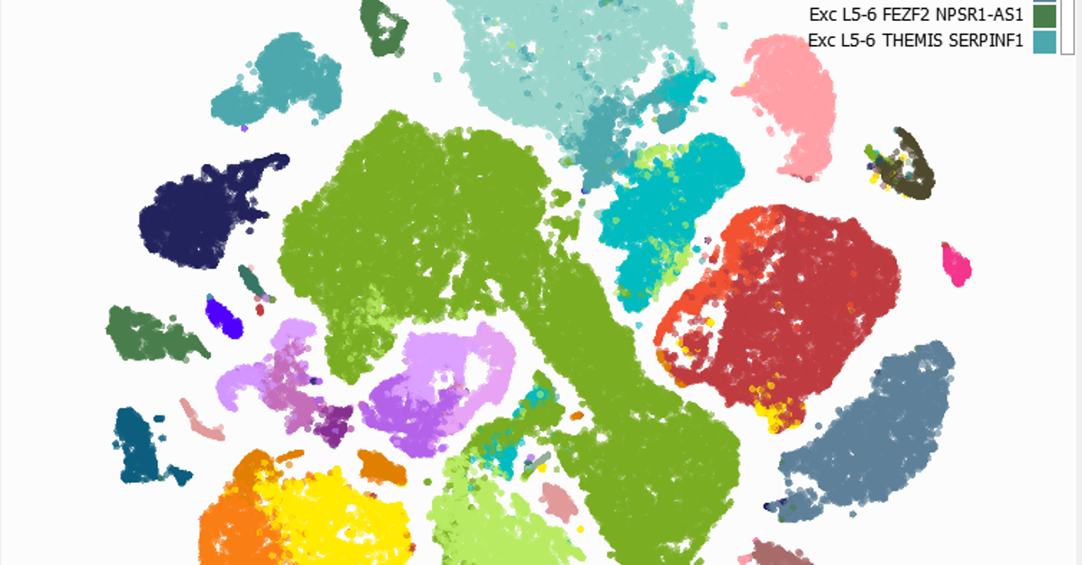 De motorische cortex van de hersenen gedetailleerd in kaart gebracht ...