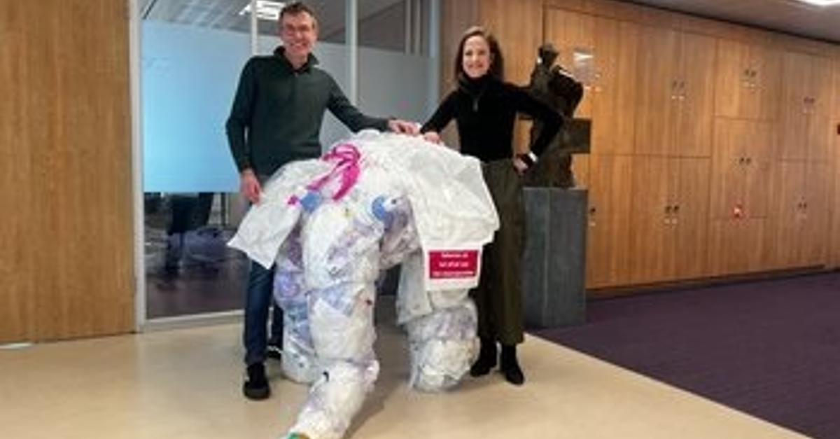 Plastic, medicijnen en voedsel: skip de olifant, ga mee op Safari ...