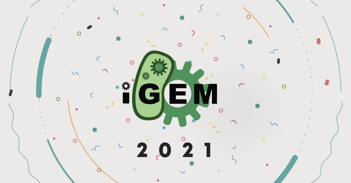 Student teams iGEM Leiden and Delft win prizes in international biology ...